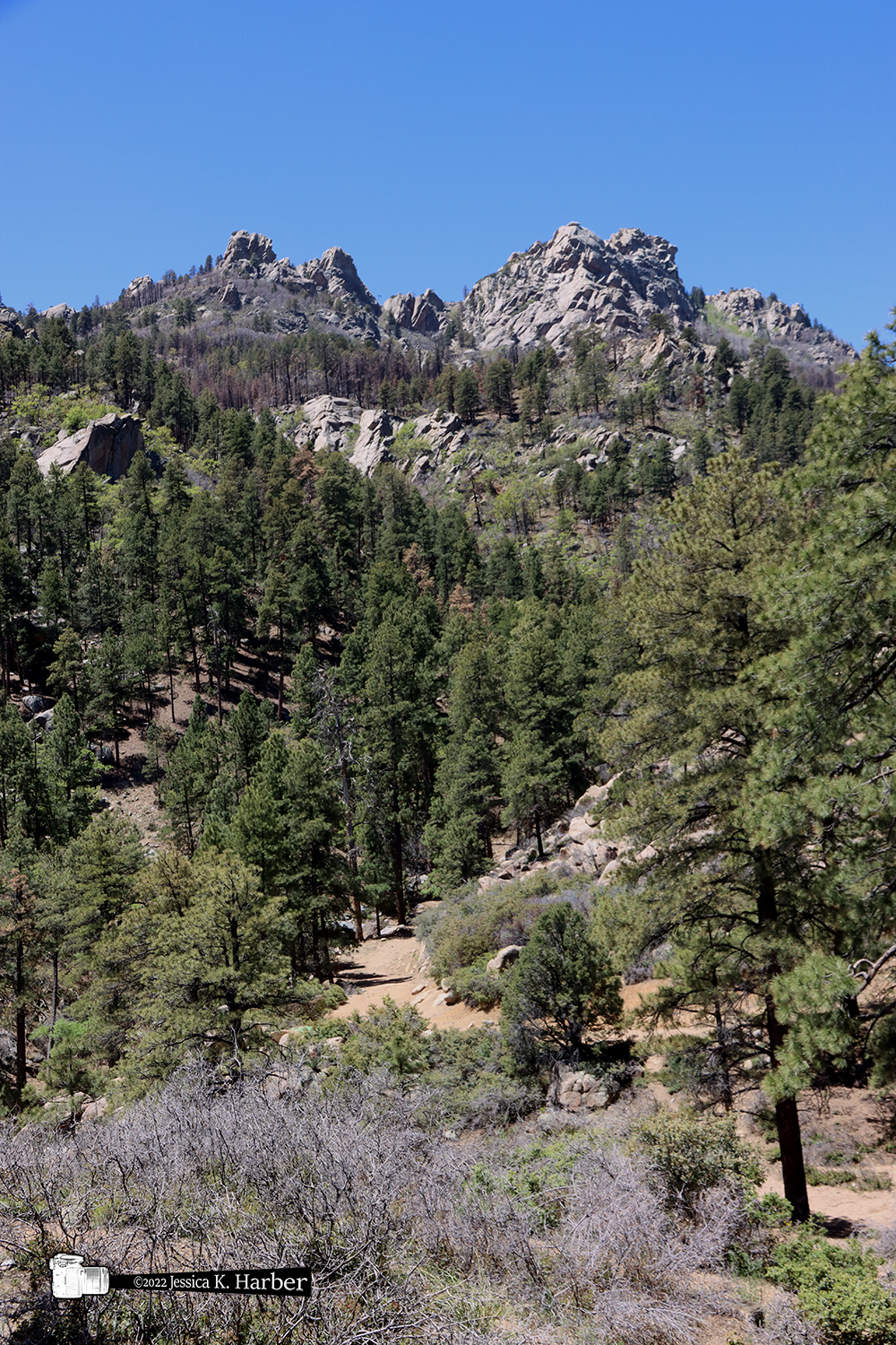 Hualapai Mountain Park Campground – My Side of the Adventure